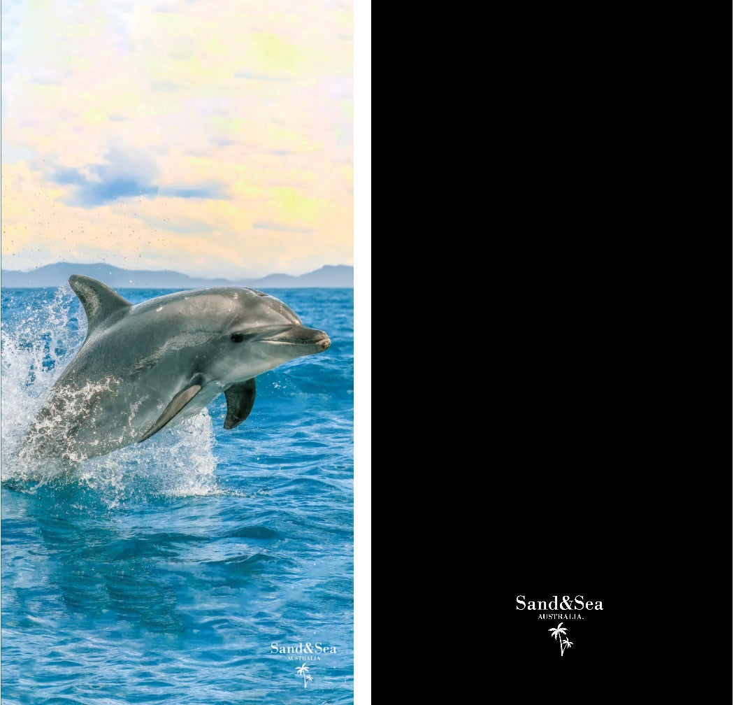 Port Macquarie Dolphin – Sand&Sea Australia